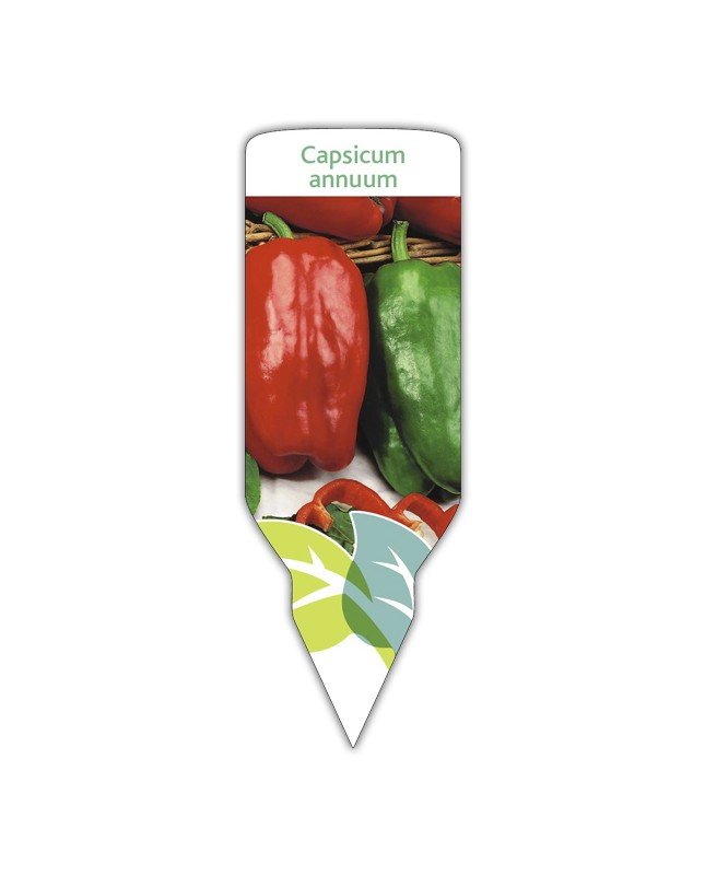 Etiquetas de Pimiento