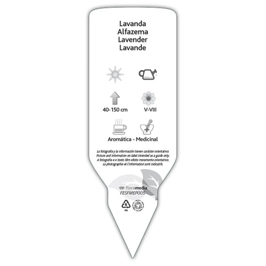 Etiquetas de Lavanda