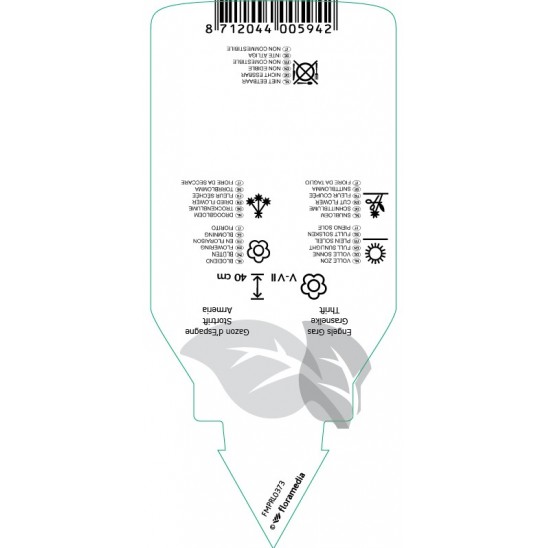 Etiquetas de Armeria ‘Bees Ruby’